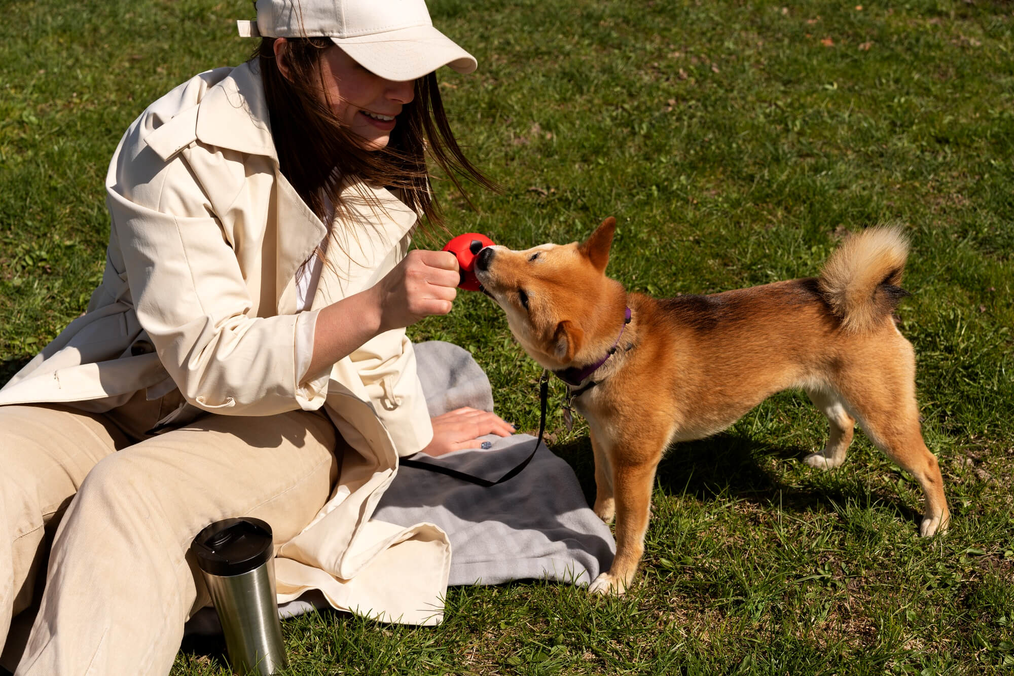 The Importance of Consistency in Dog Training: Training Tips with ...